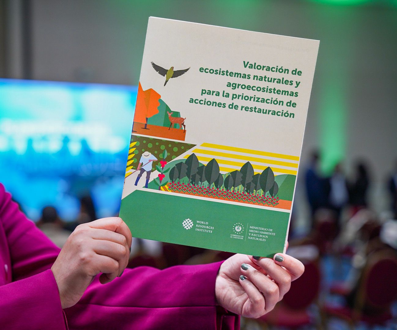 MARN presenta su política para la aceleración de metas y monitoreo de la restauración de ...