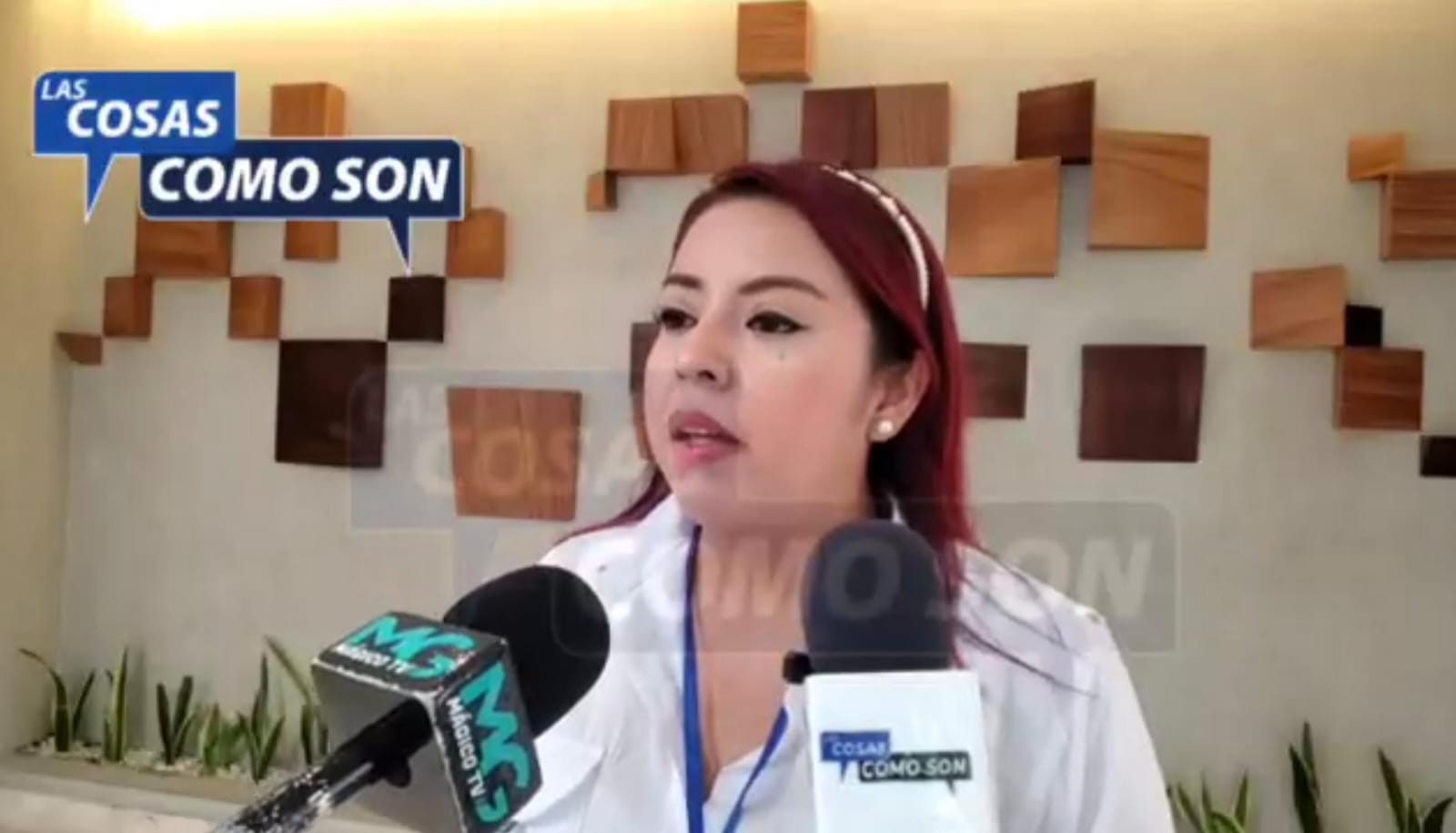 Polémica entre la excandidata de ARENA, Ondina Ramos y la diputada ...