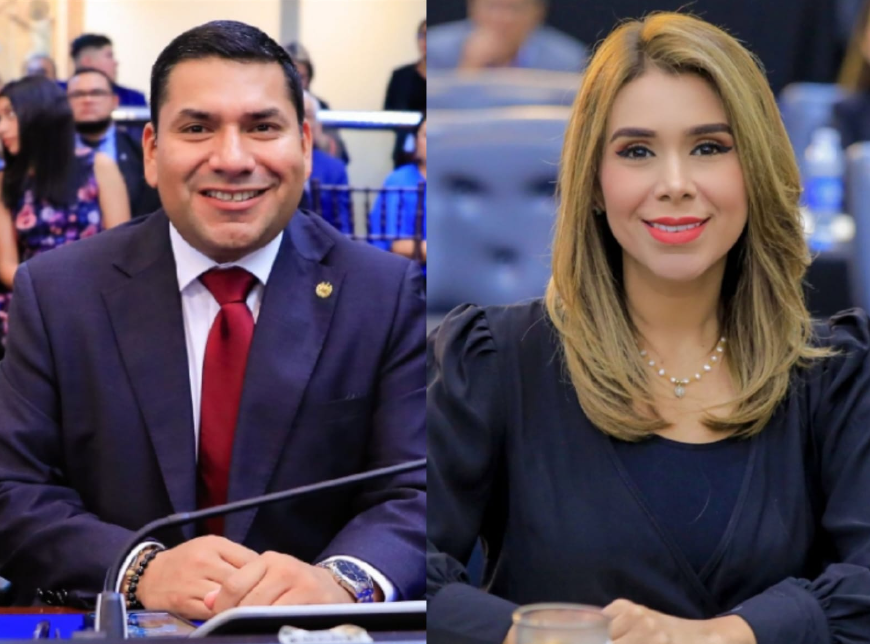 Marcela Villatoro será la coordinadora del grupo parlamentario de ARENA ...