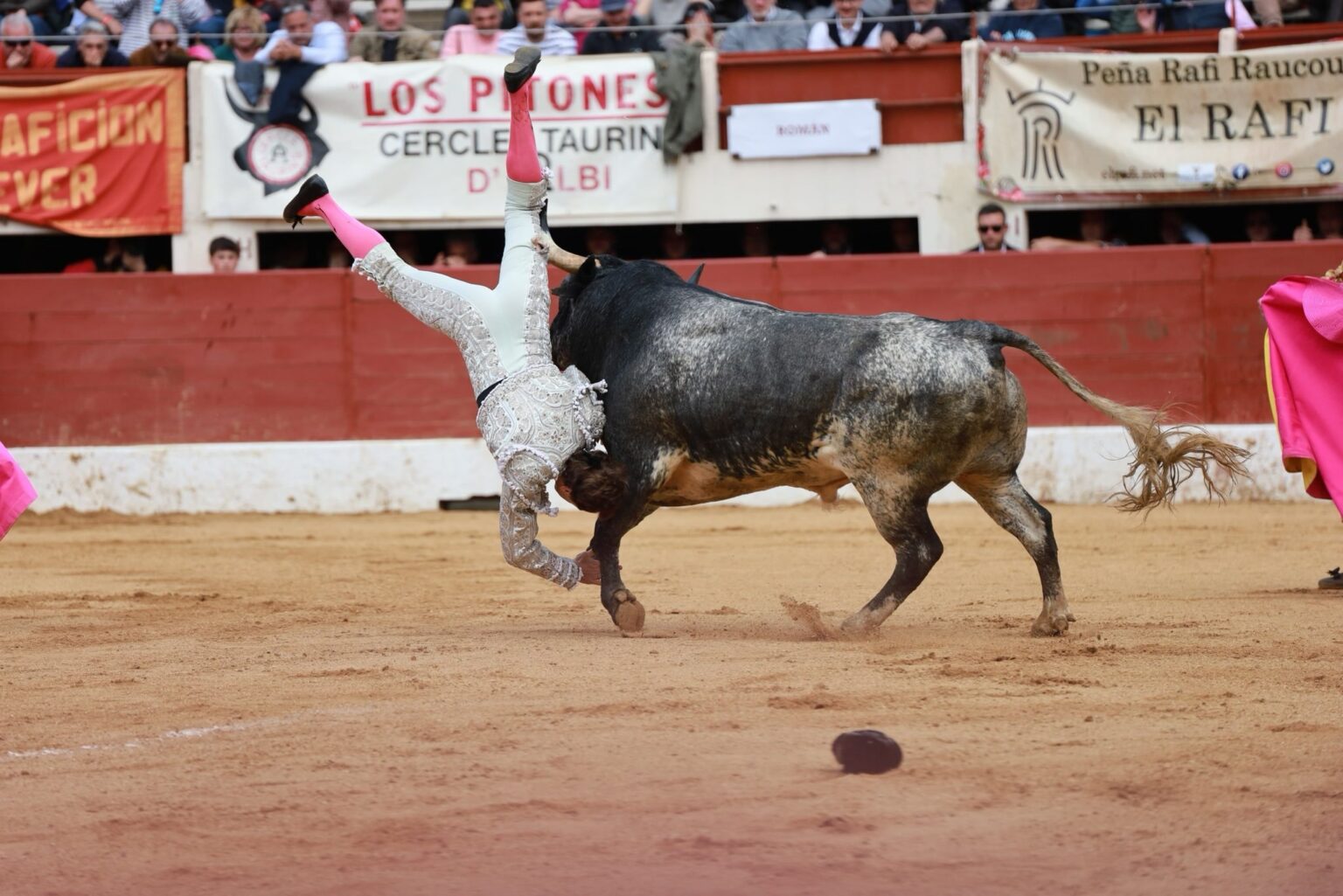 El torero español Román Collado, grave tras ser corneado, en Vic ...