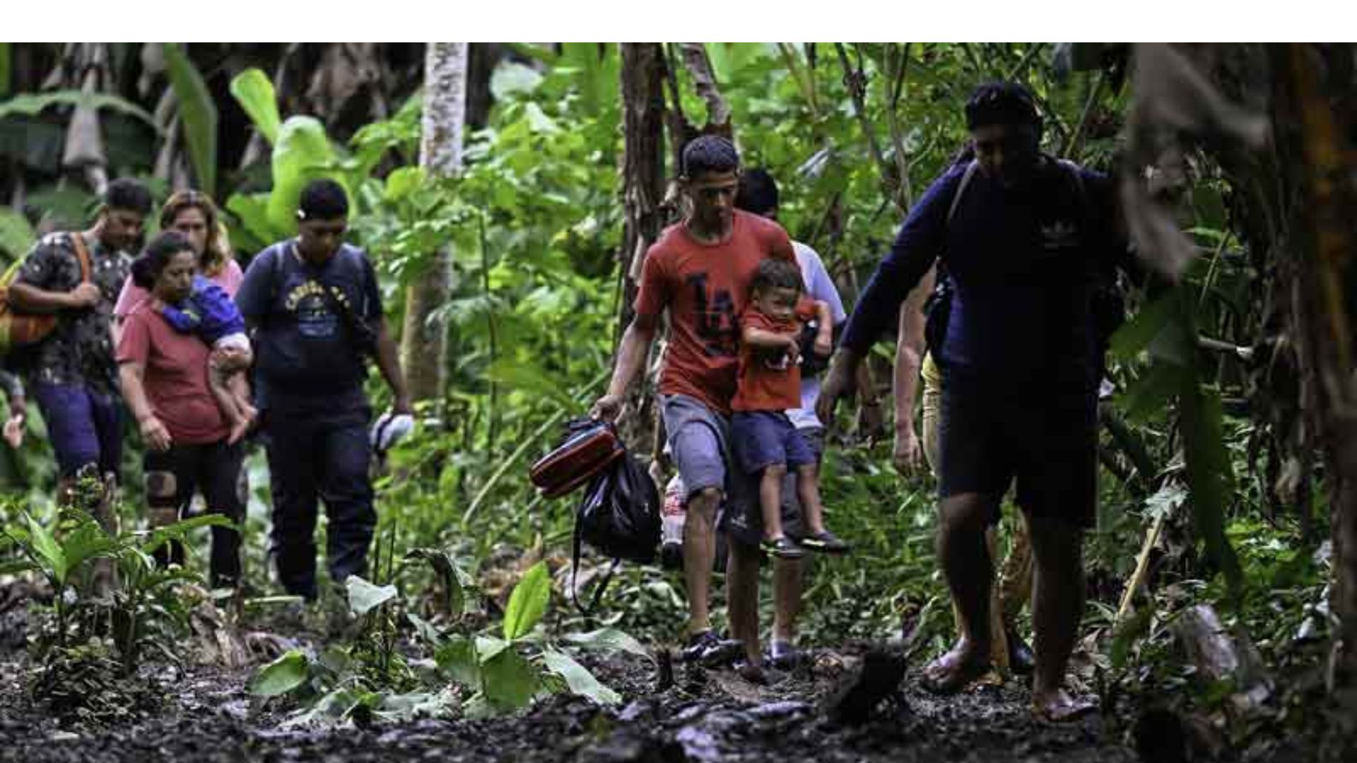 Más de 170,000 personas han transitado por la selva del Darién desde ...