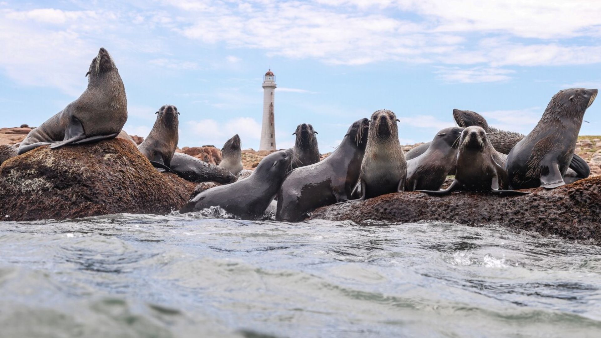 Isla de Lobos en el Atlántico pasa a ser área natural protegida de ...