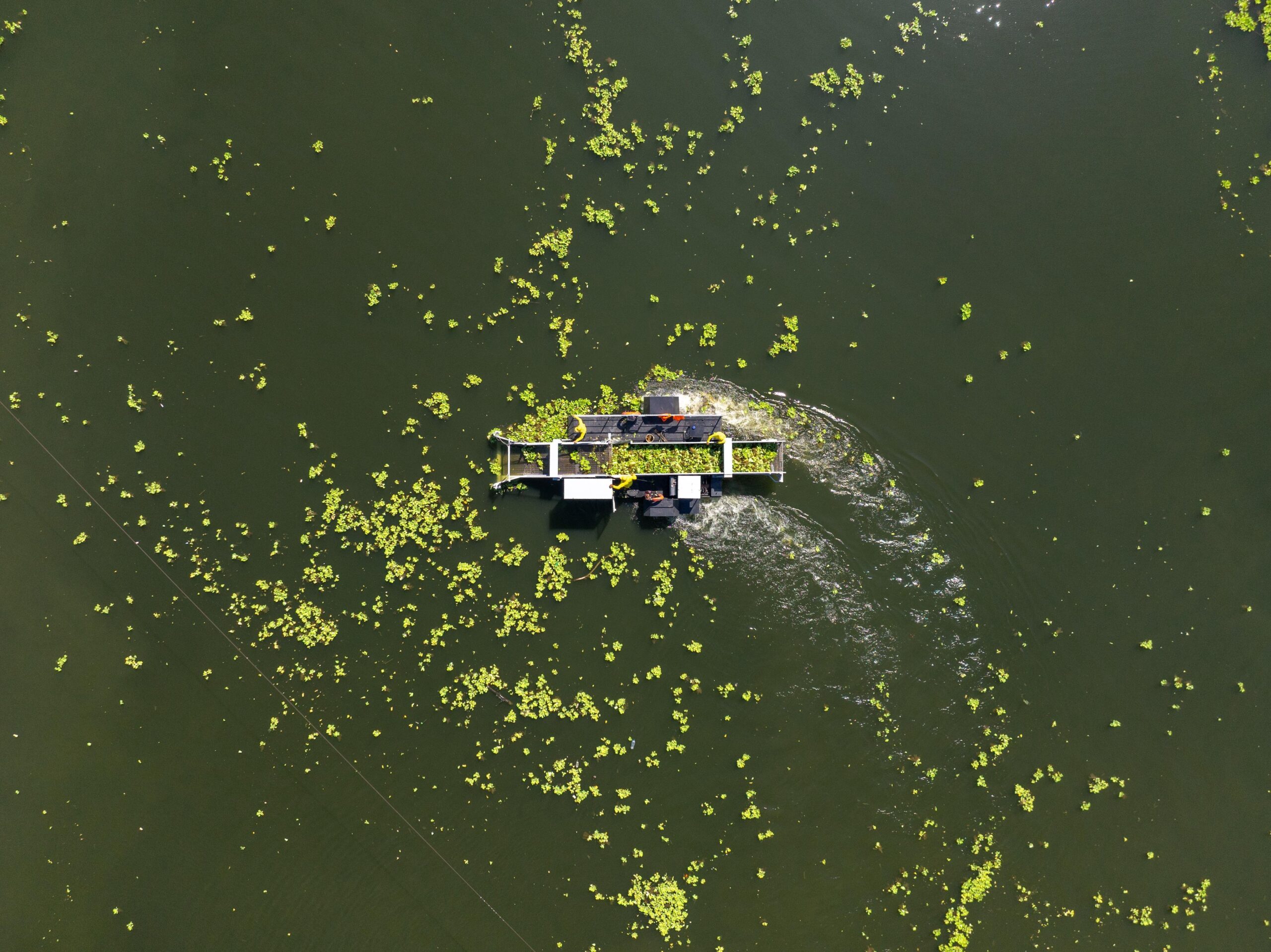 Autoridades inician limpieza del Lago Suchitlán para frenar ...
