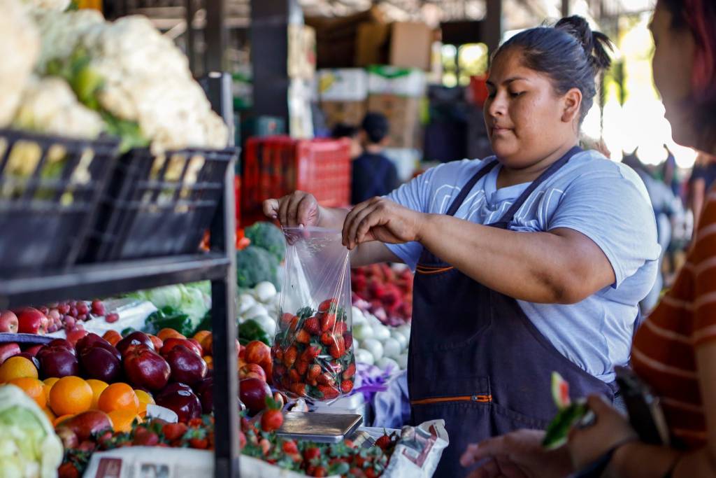 CST enviará a Bukele su plan definitivo para la transición de la ...