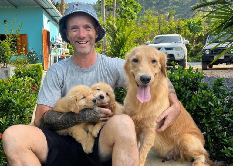 Bukele y Happy Doggo se alían para transformar el futuro de los perros ...